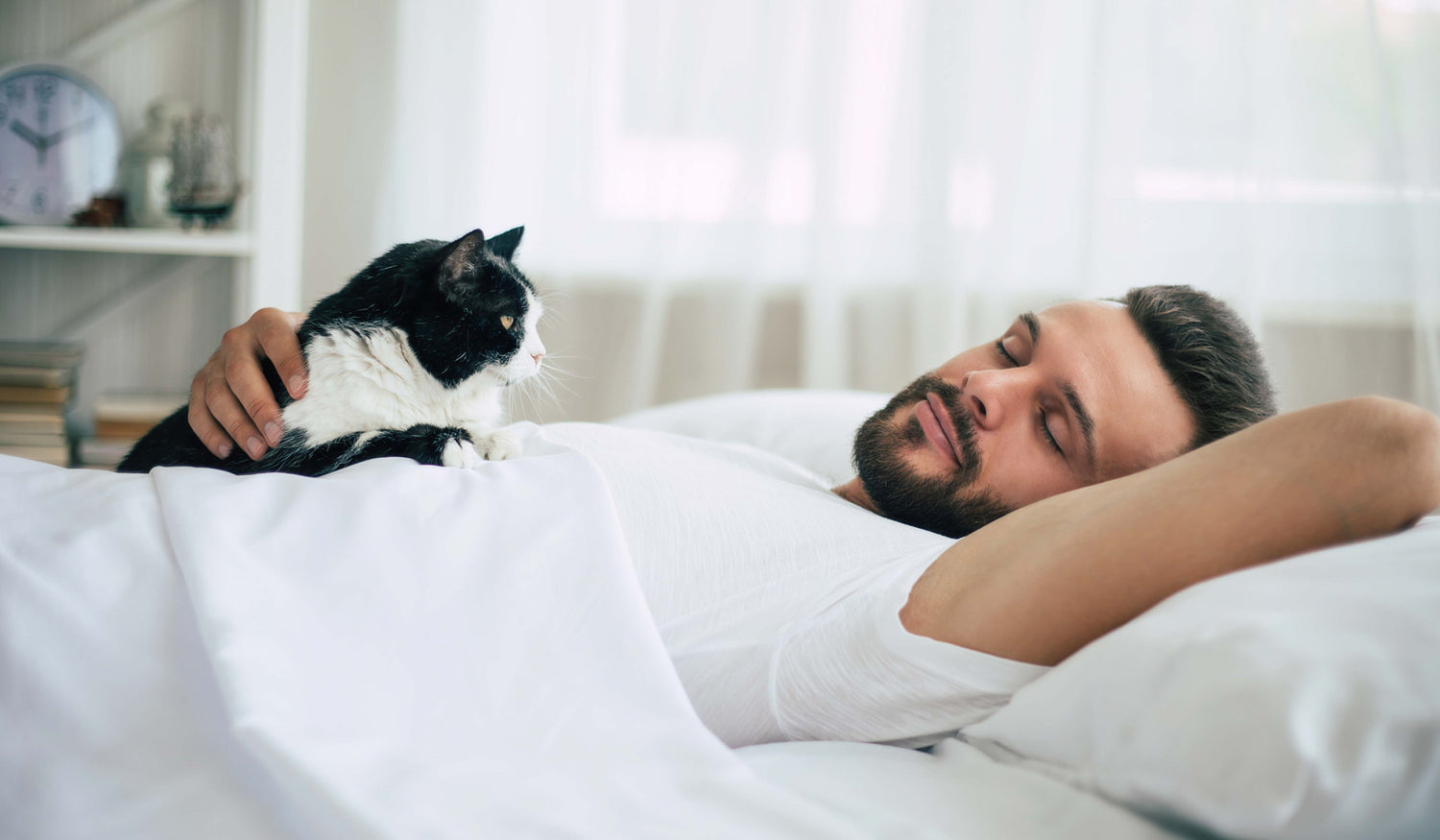 From Anxiety to Serenity: How Pets Help Reduce Stress